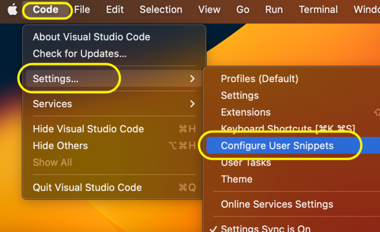 VS Code: ユーザースニペット - Platypus Code